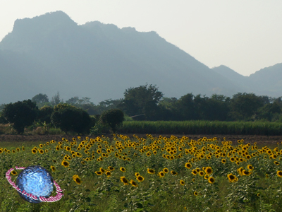 THAILEX - Thailand Travel Encyclopedia